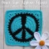 Peace Sign Afghan Square - Crochet Pattern Review - EyeLoveKnots