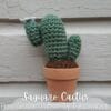 Saguaro Cactus - Free Crochet Pattern - EyeLoveKnots