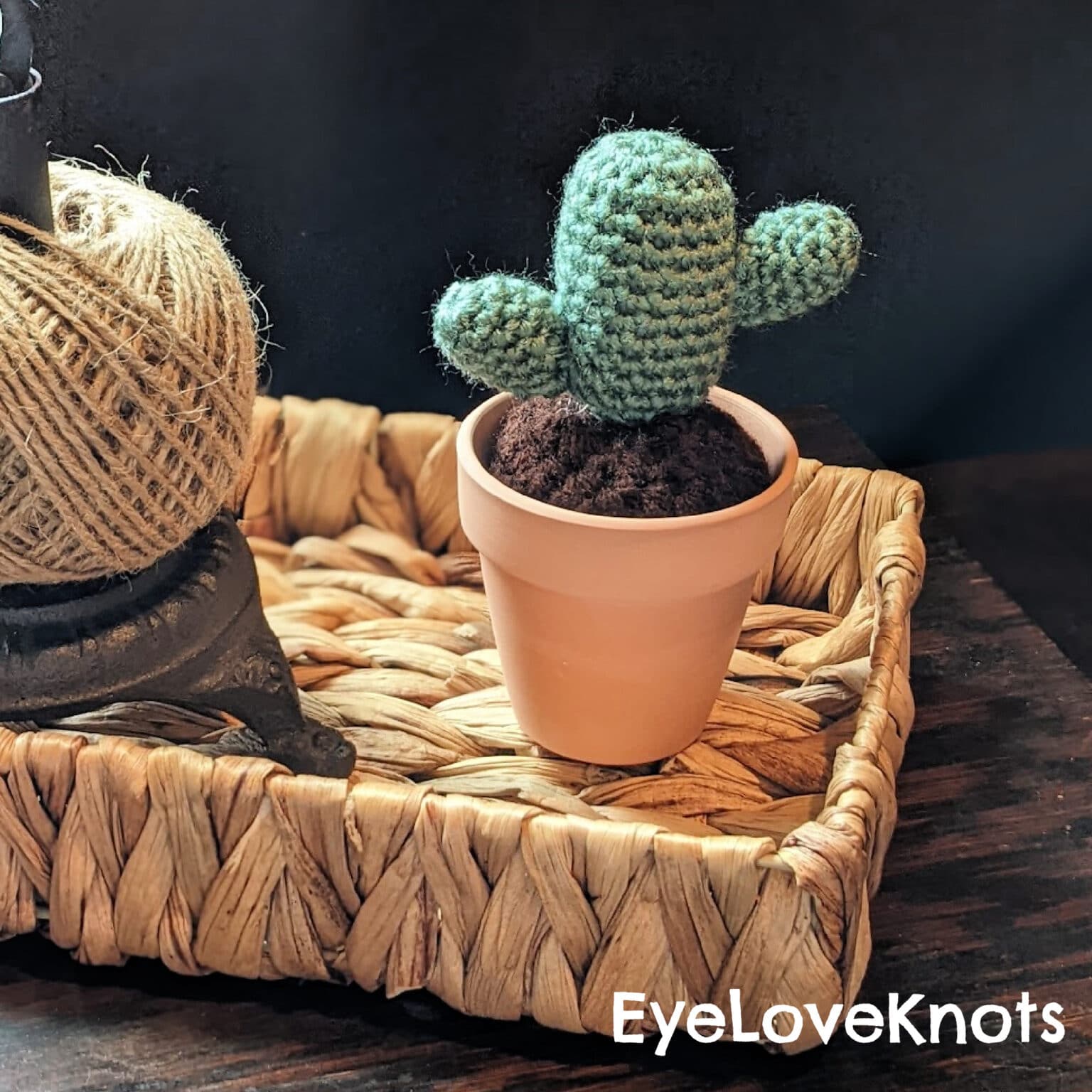 Saguaro Cactus - Crochet Pattern Review - EyeLoveKnots