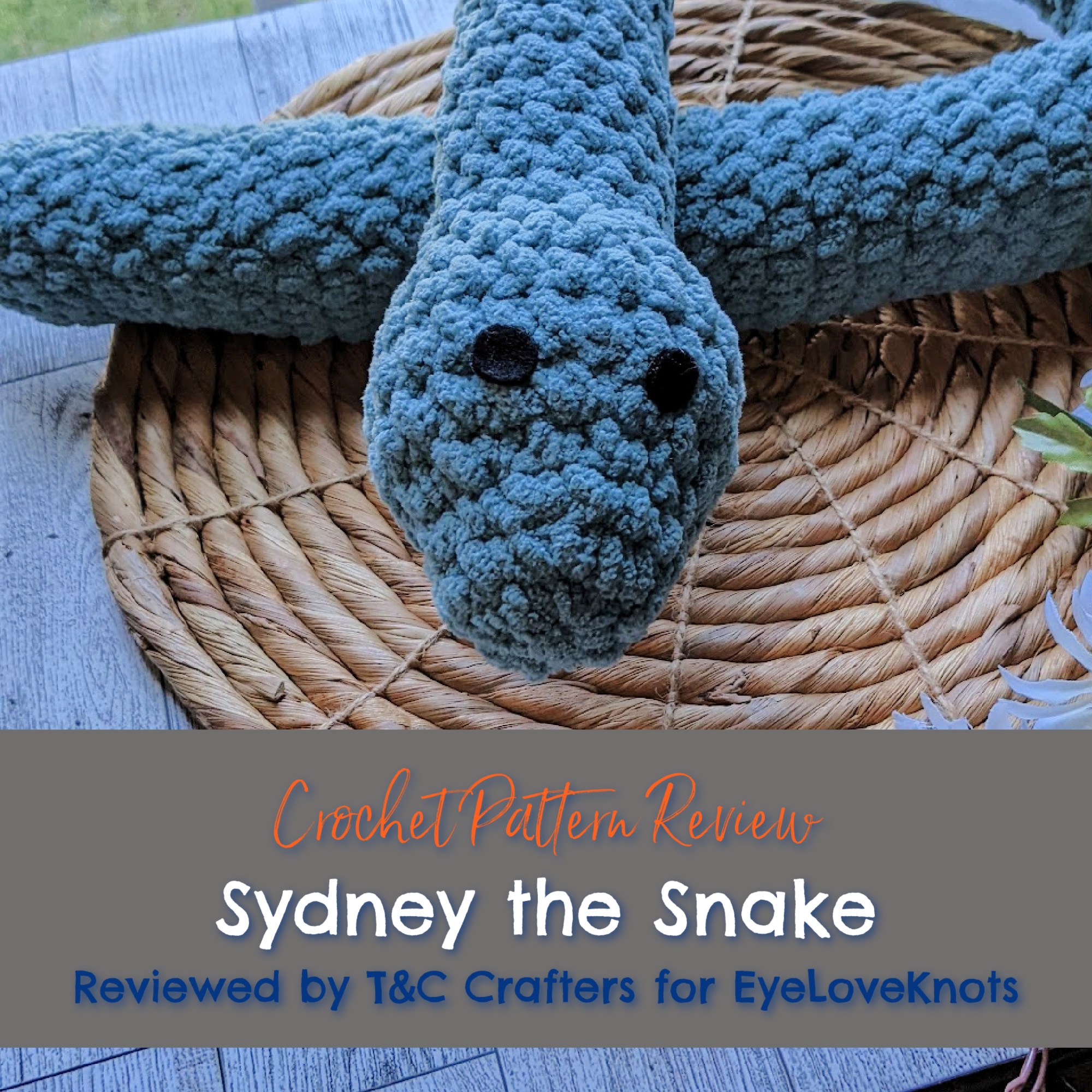 Sydney the Snake - Crochet Pattern Review - EyeLoveKnots