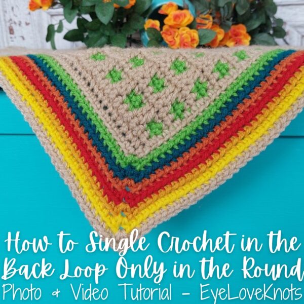 How to Crochet into the Back Loop Only (BLO) - EyeLoveKnots
