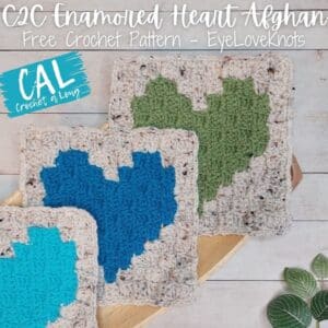 C2C Enamored Heart Afghan - Free Crochet Pattern | C2C in DC Heart ...