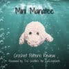 Mini Manatee - Crochet Pattern Review - EyeLoveKnots